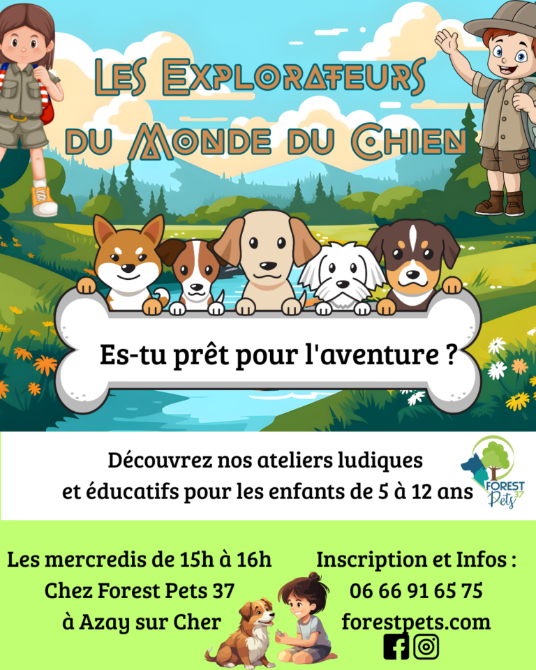 🌟 NOUVEAUTÉ ! Les Explorateurs du Monde du Chien arrivent chez Forest ...